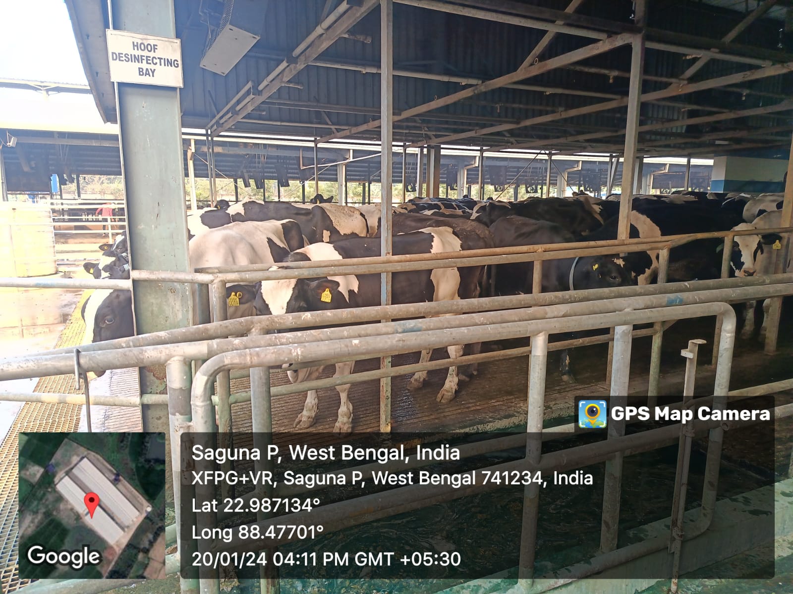 Industry visit to Thacker Dairy (Kalyani Unit) – The Bhawanipur